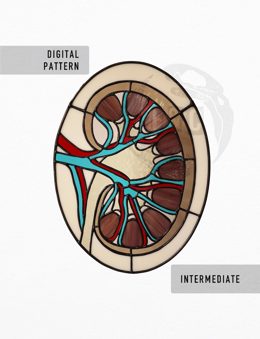Anatomical Kidney Medical - Stained Glass Pattern PDF File ...