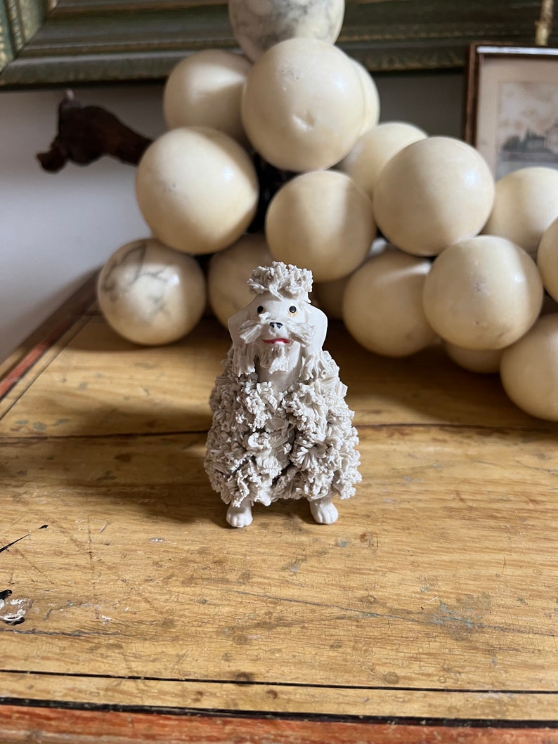 Vintage Spaghetti Poodle - Etsy