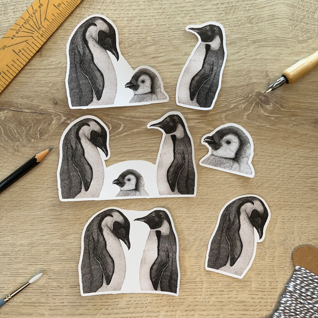 Penguin Stickers|bird Sticker Set|pack of 12 Stickers|wildlife Stickers ...