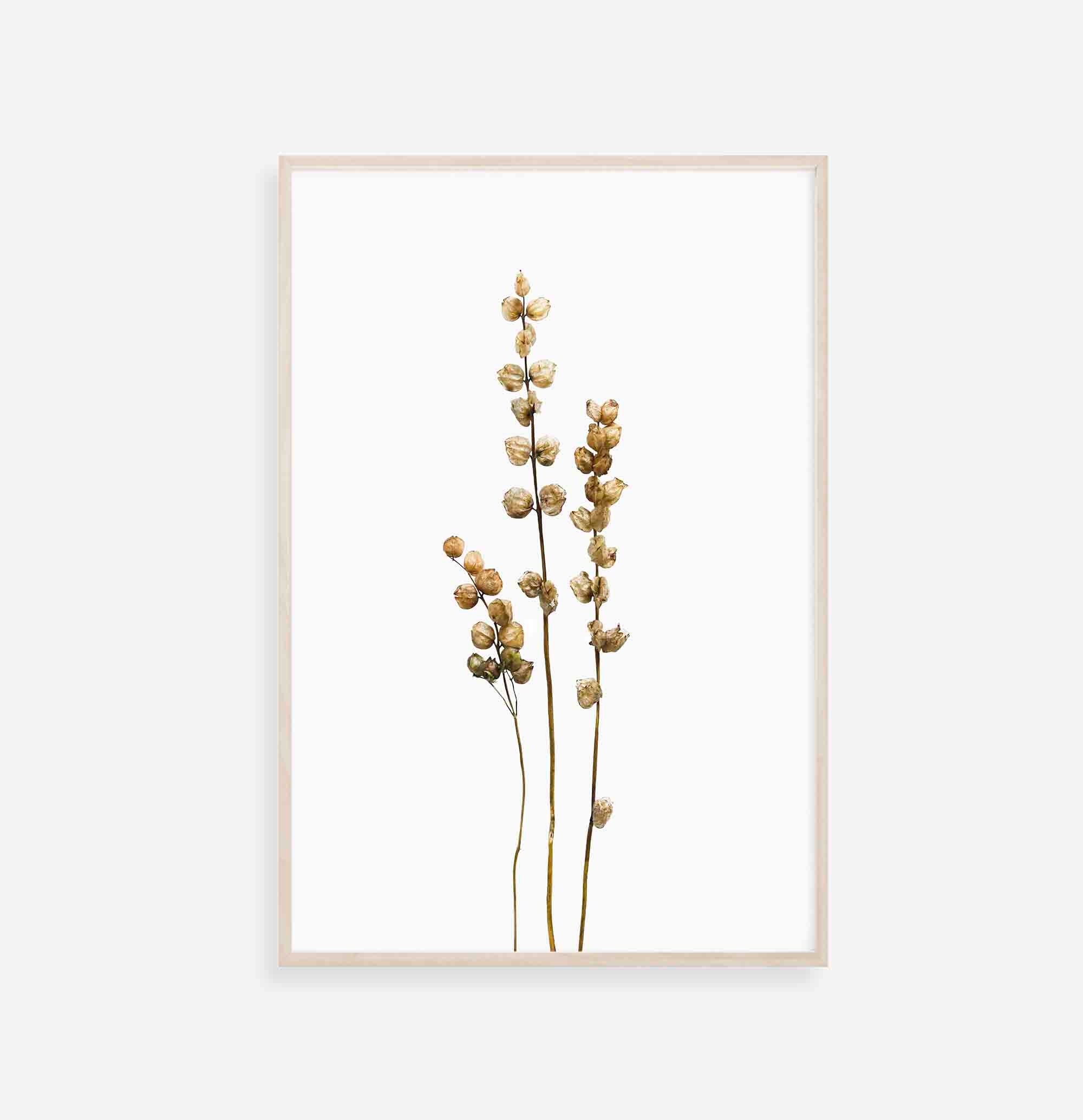 Flowers Print Botanical Prints Wildflowers Photography - Etsy