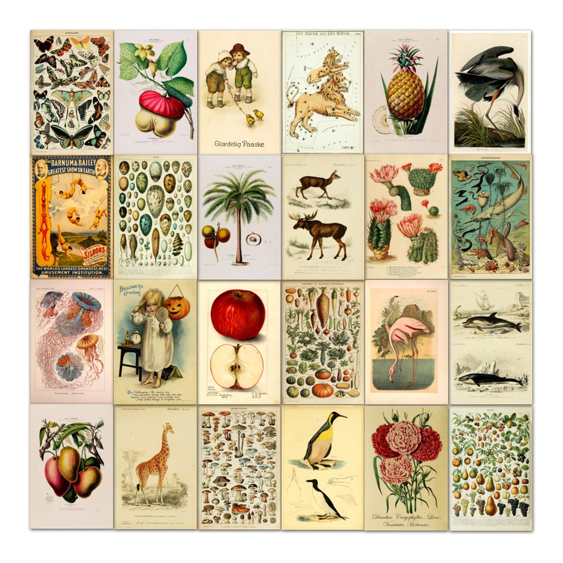 Vintage Wall Collage Kit Collage Kit Wall Art Decor | Etsy