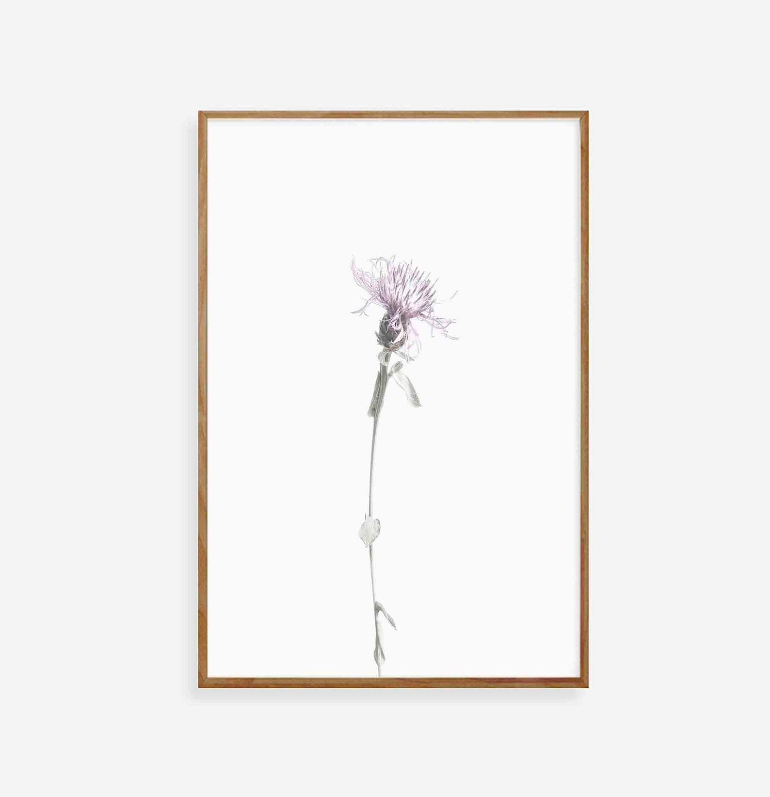 Purple Flowers Print Floral Print Botanical Wall Art - Etsy