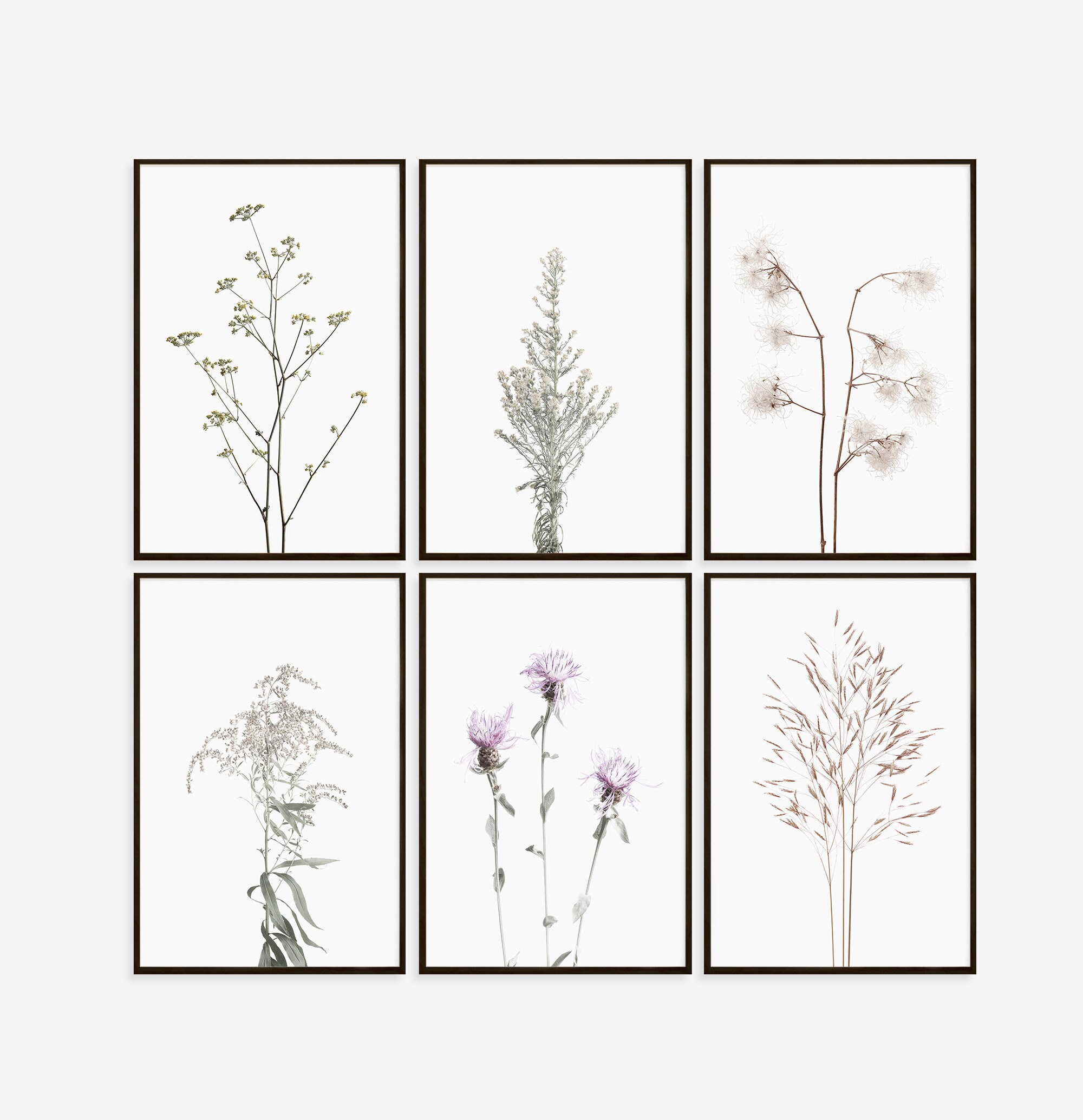 Wildflowers Print Botanical Print Set of 6 Prints Flower | Etsy