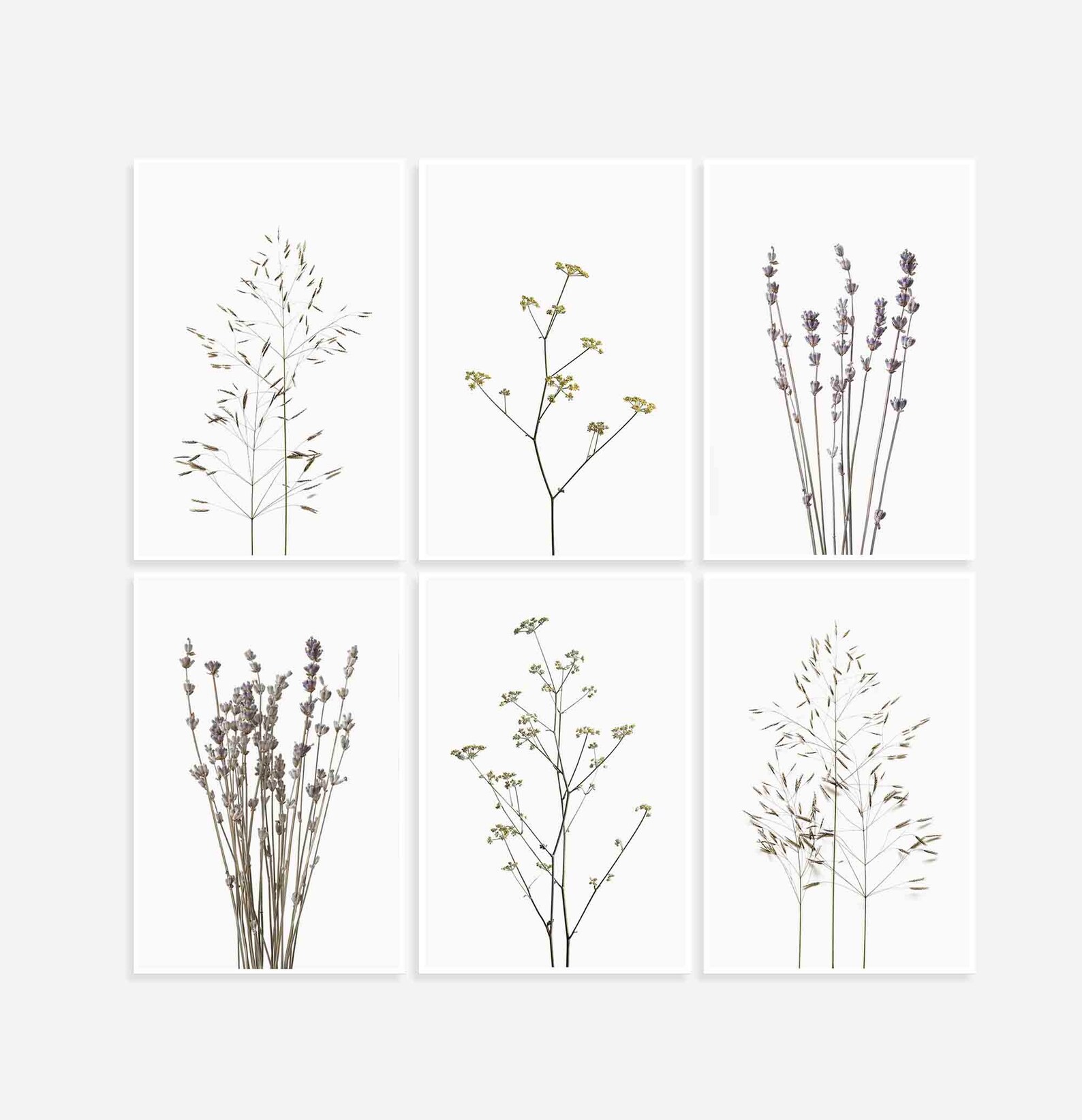 Set of 6 Wildflower Prints Floral Instant Art Printable Art - Etsy