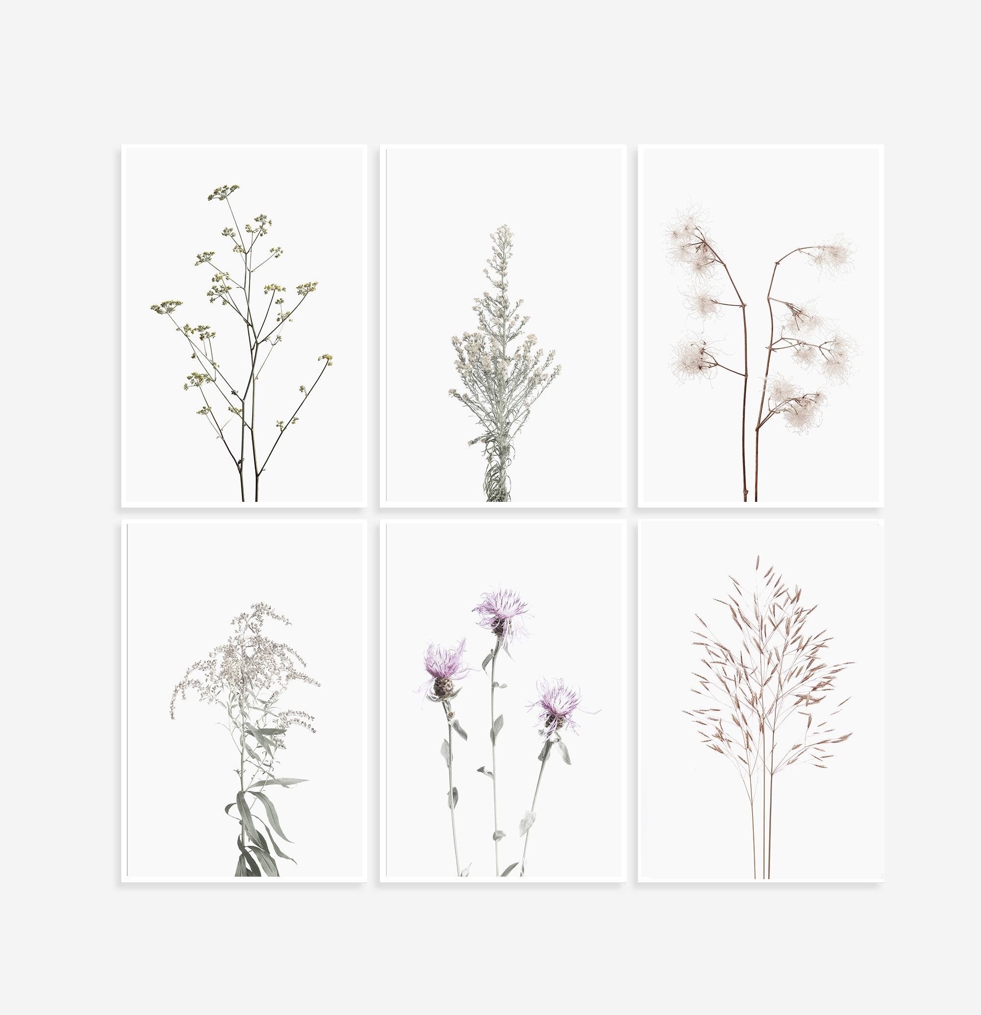 Wildflowers Print Botanical Print Set of 6 Prints Flower | Etsy