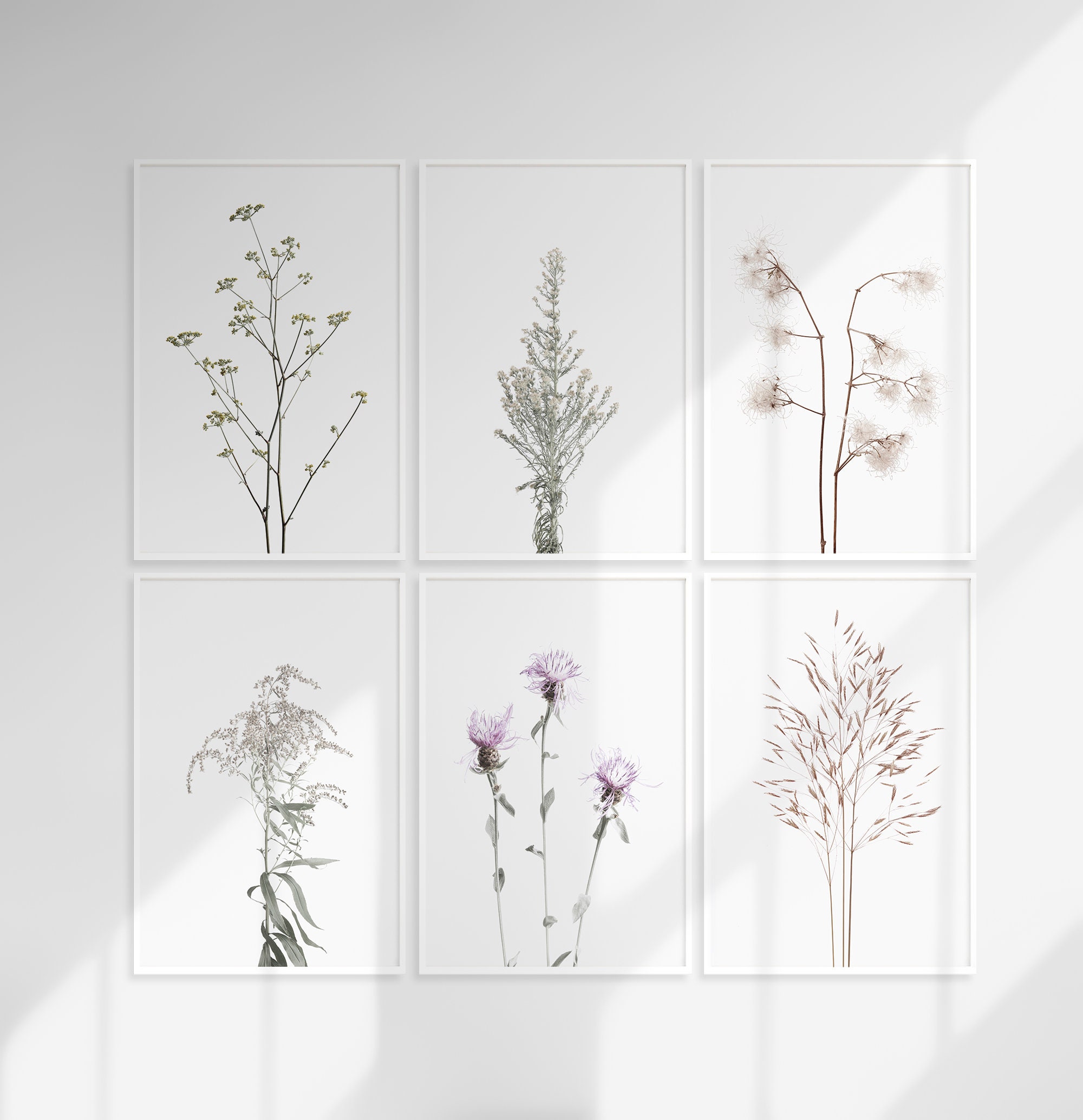 Wildflowers Print Botanical Print Set of 6 Prints Flower | Etsy