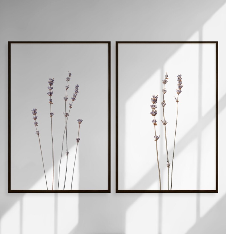 Lavender Print Lavender Poster Set of 2 Print Botanical - Etsy