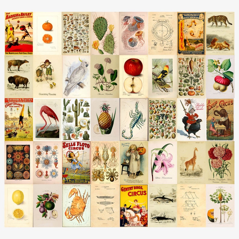 Vintage Wall Collage Kit Collage Kit Wall Art Decor | Etsy