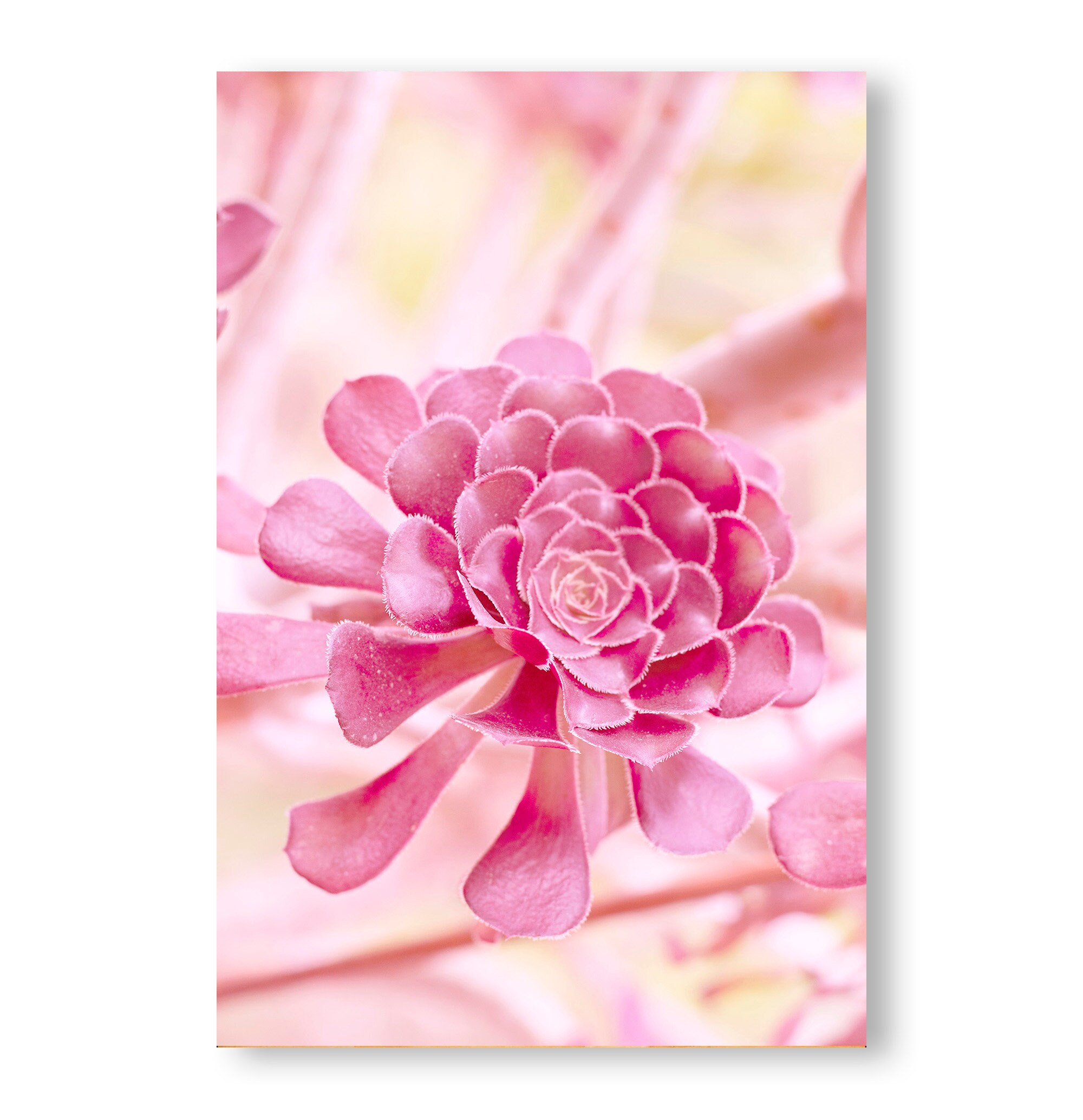 Light Pink Wall Collage Kit Soft Pink Wall Art Photo Collage | Etsy