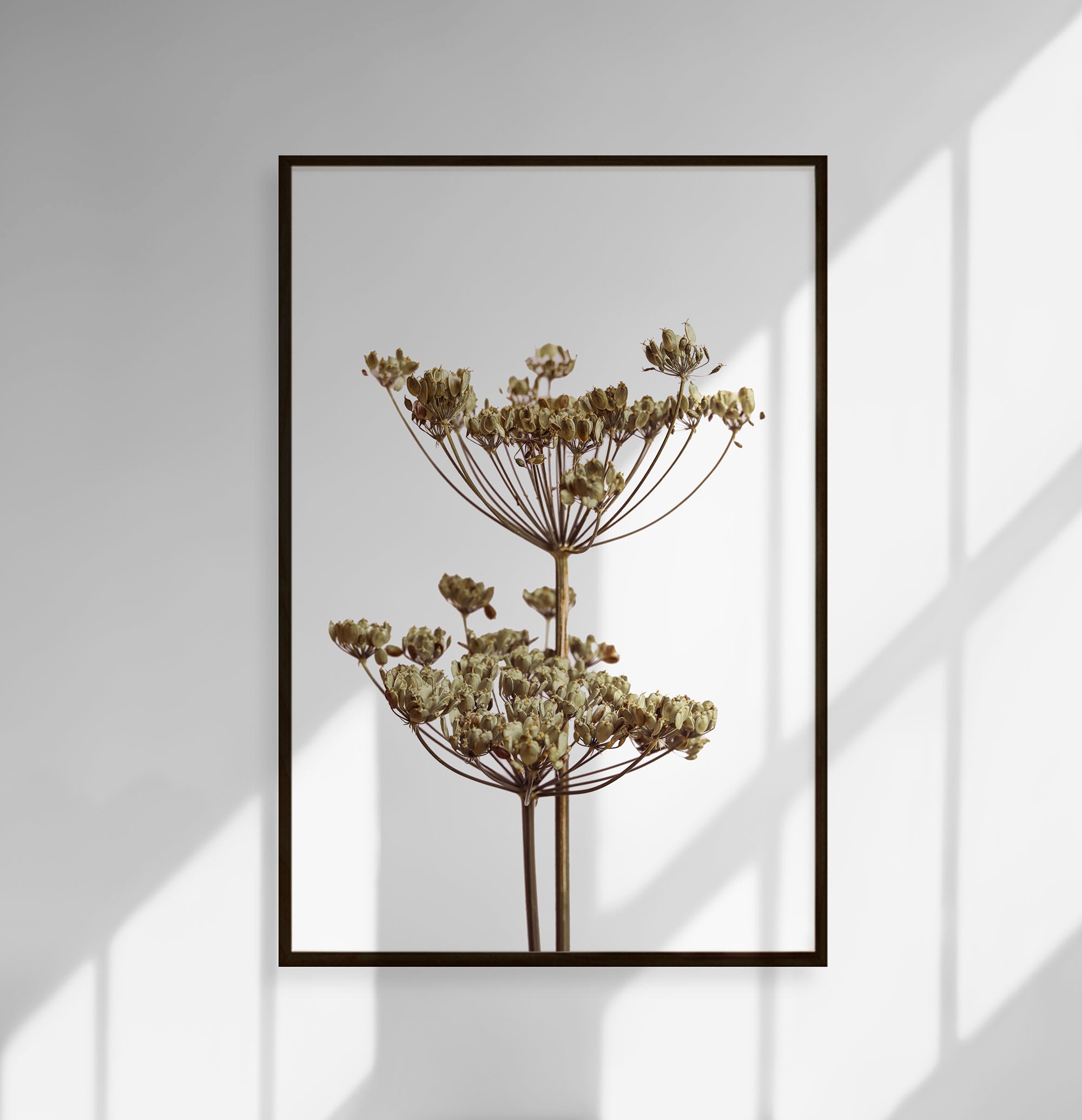 Botanical Printable Modern Botanical Art Wildflowers Art | Etsy