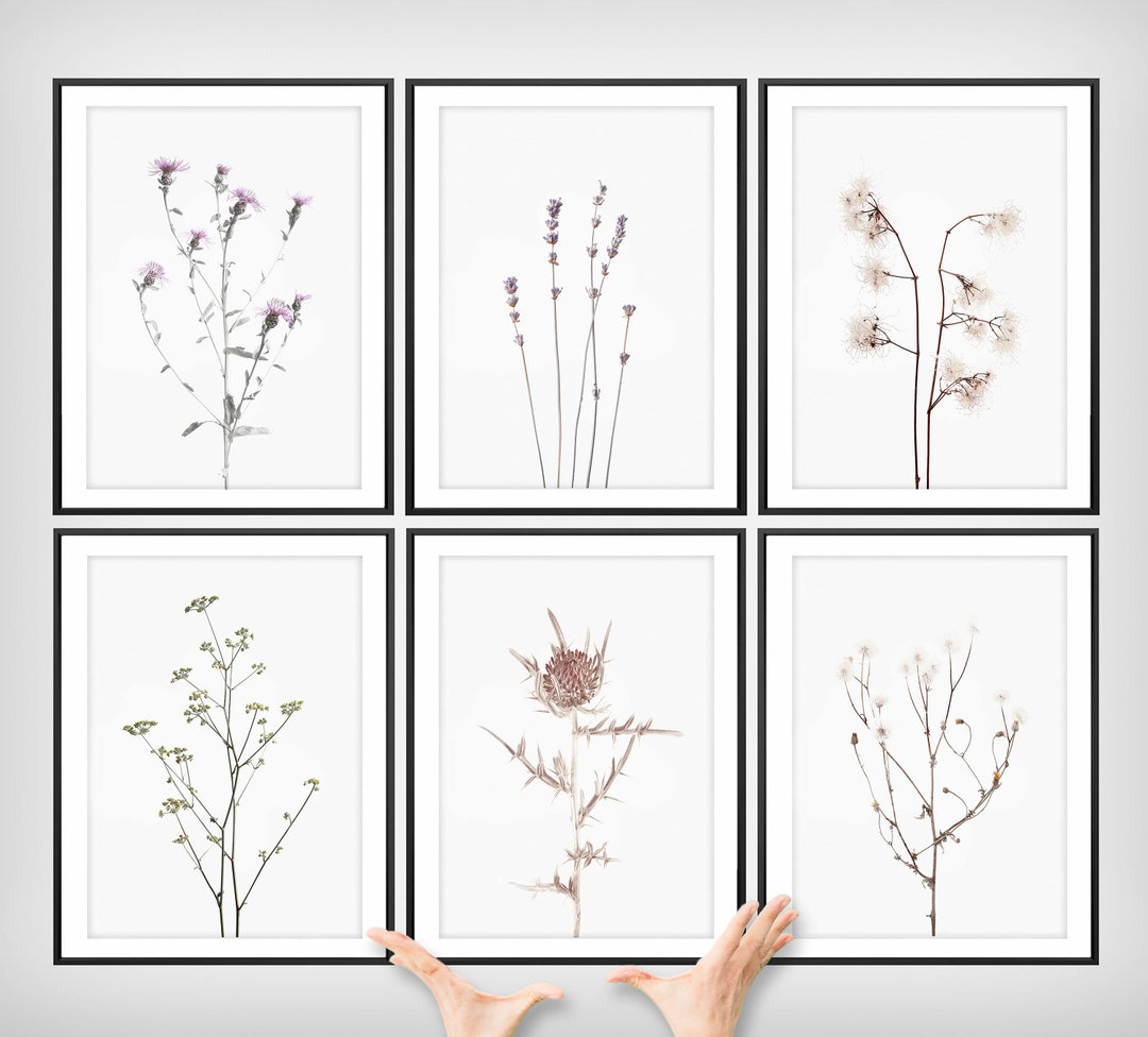 Botanical Prints, Plant Print, Set of Prints, Botanical Wall Art ...