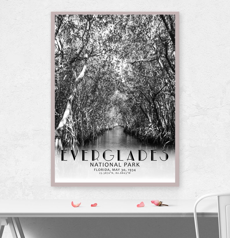 Everglades National Park Poster Florida Travel Poster - Etsy