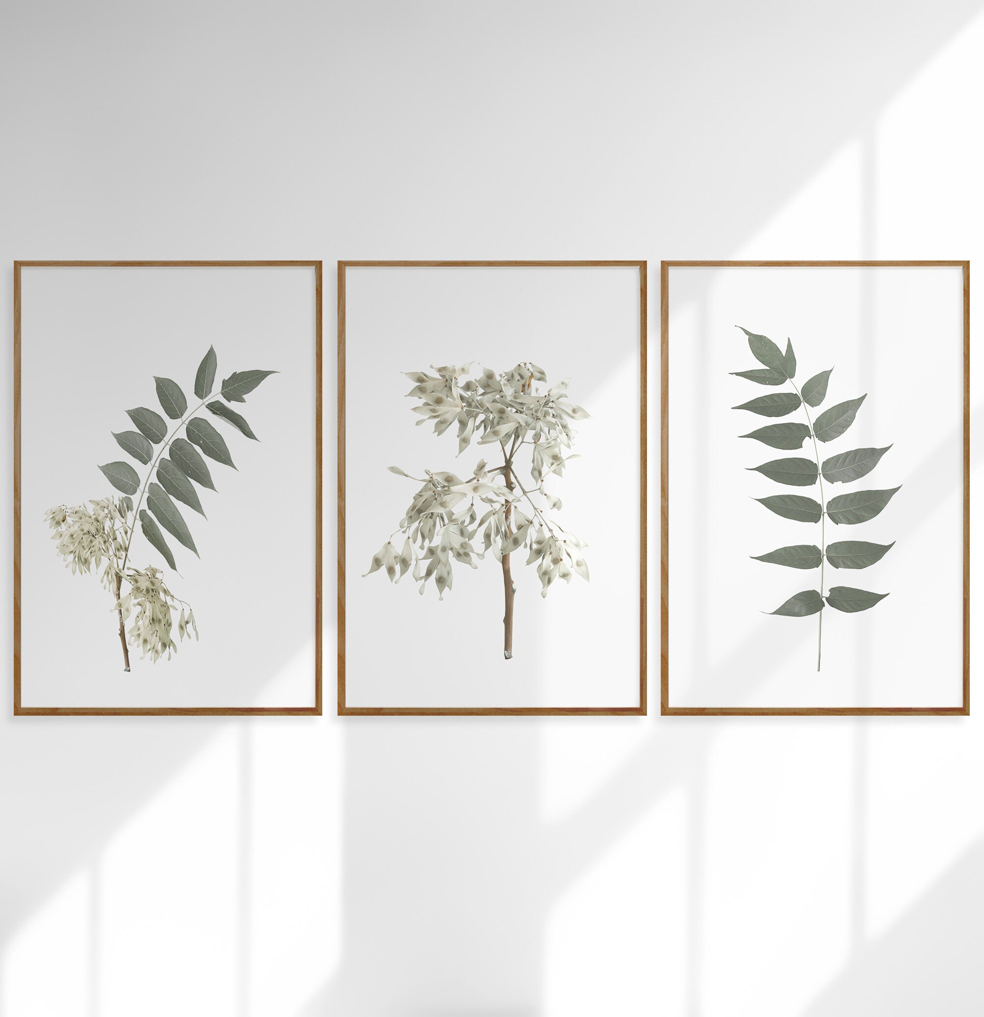 Leaf Printable Art Set of Prints Flower Wall Art Botanical | Etsy