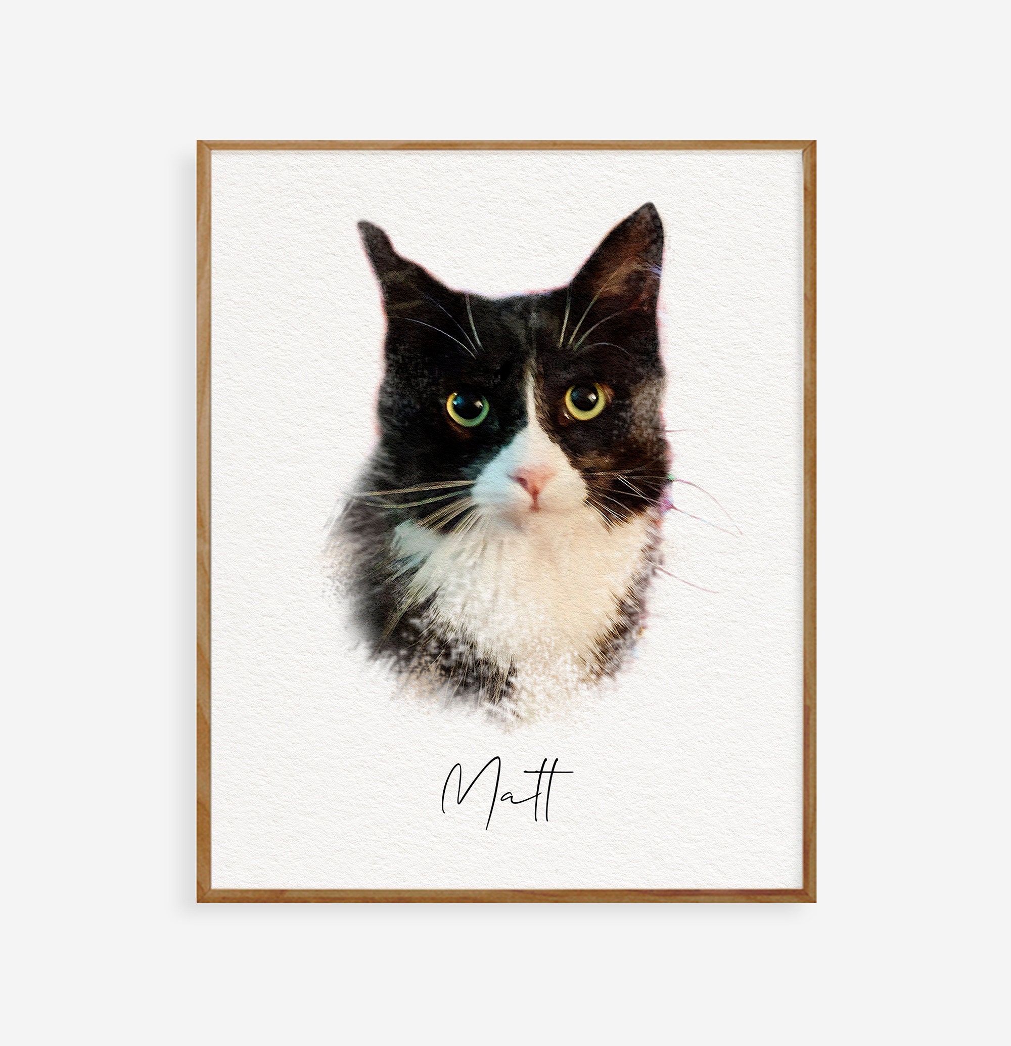 Cat Portrait Custom Pet Portrait Custom Cat Portrait Cat | Etsy