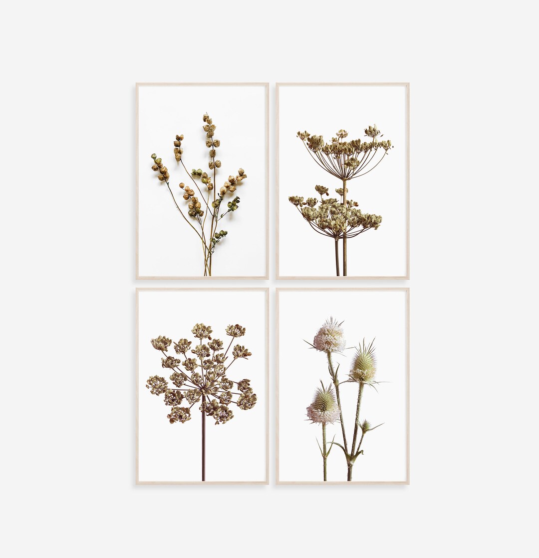 Floral Print, Botanical Print Set, Wildflower Prints, Print Set Wall ...