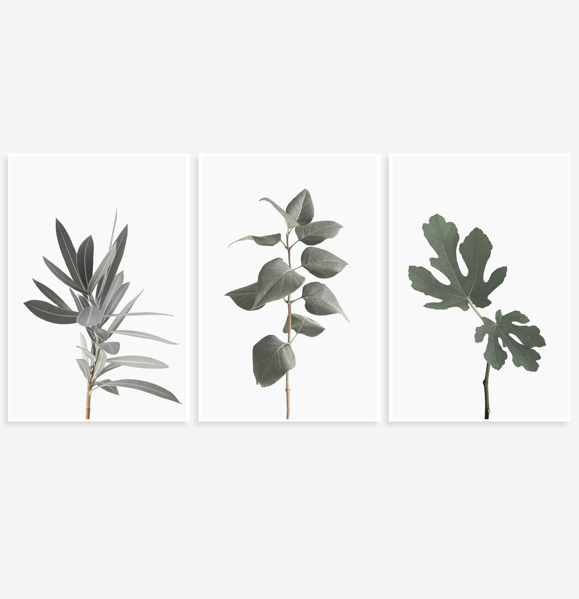 Green Leaf Print Leaf Wall Art Set of 3 Prints Fig Leaf | Etsy