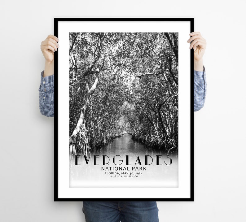 Everglades National Park Poster Florida Travel Poster - Etsy
