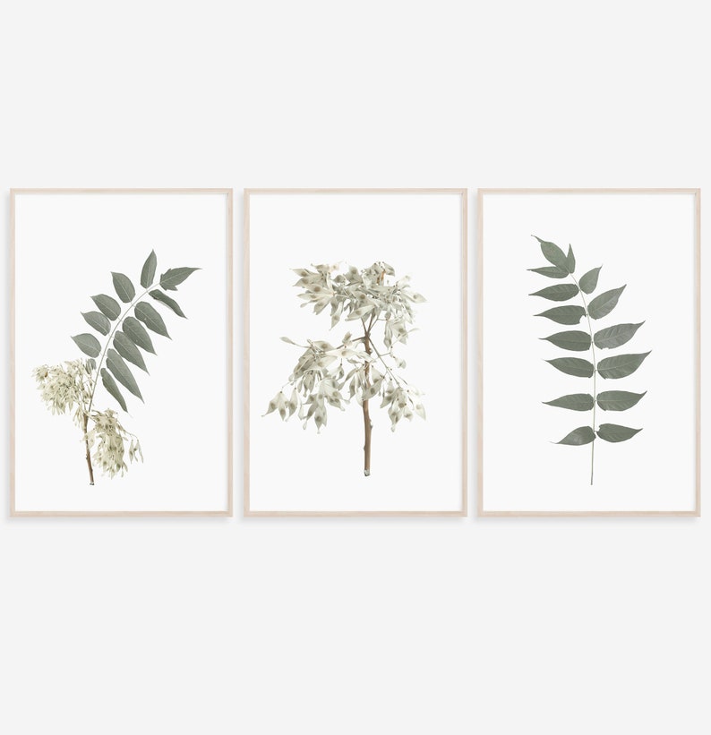 Leaf Printable Art Set of Prints Flower Wall Art Botanical | Etsy