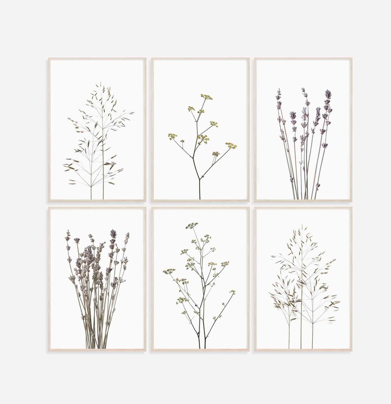 Set of 6 Wildflower Prints Floral Instant Art Printable Art - Etsy