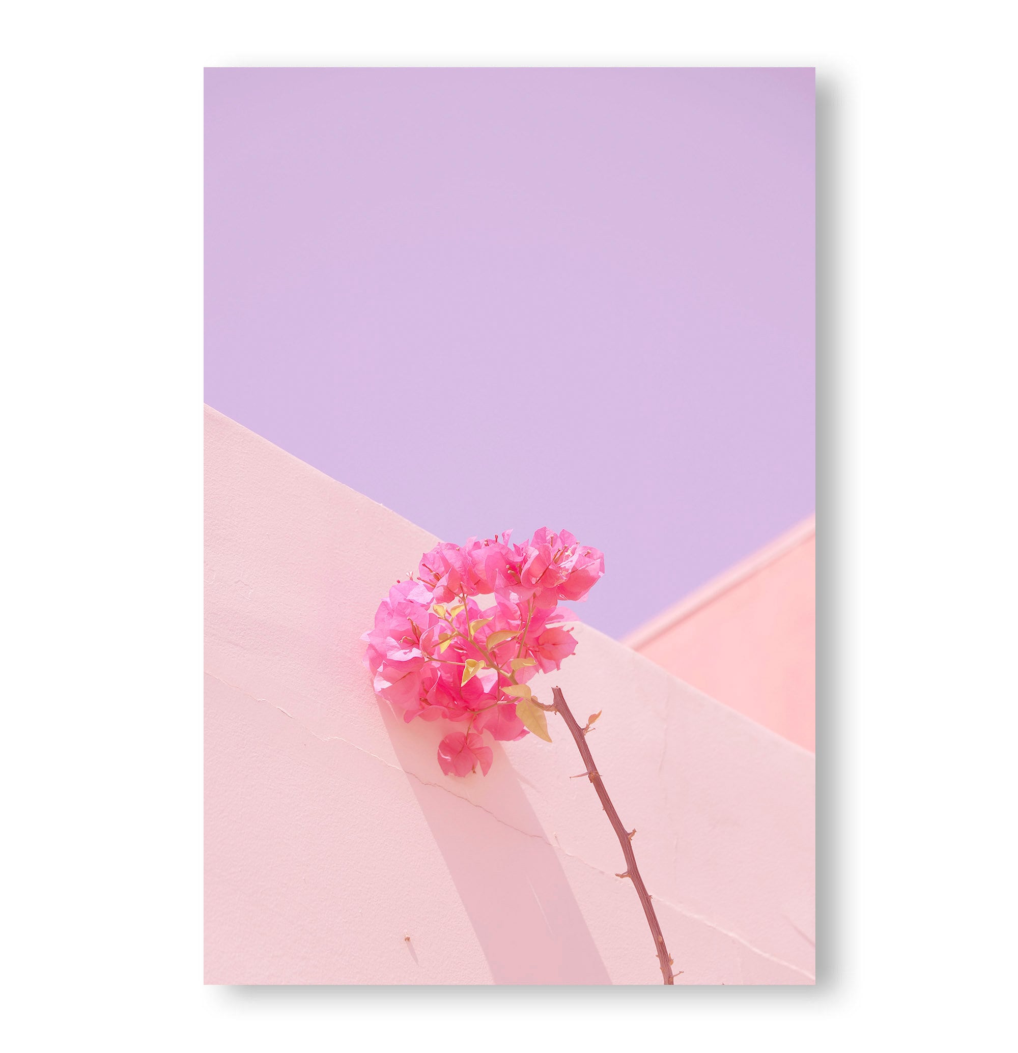 Light Pink Wall Collage Kit Soft Pink Wall Art Photo Collage | Etsy