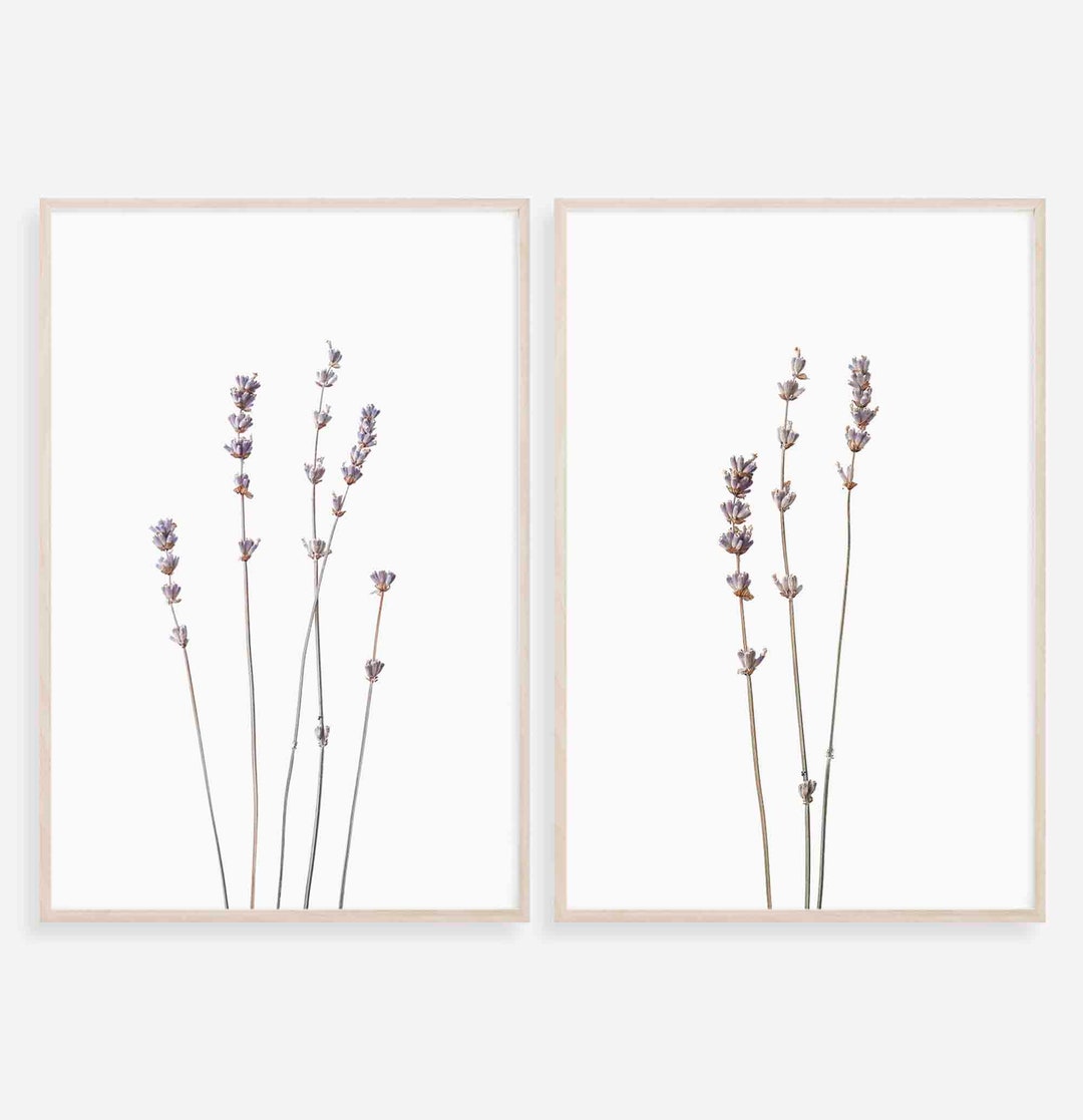 Lavender Print, Lavender Poster, Set of 2 Print, Botanical Print ...