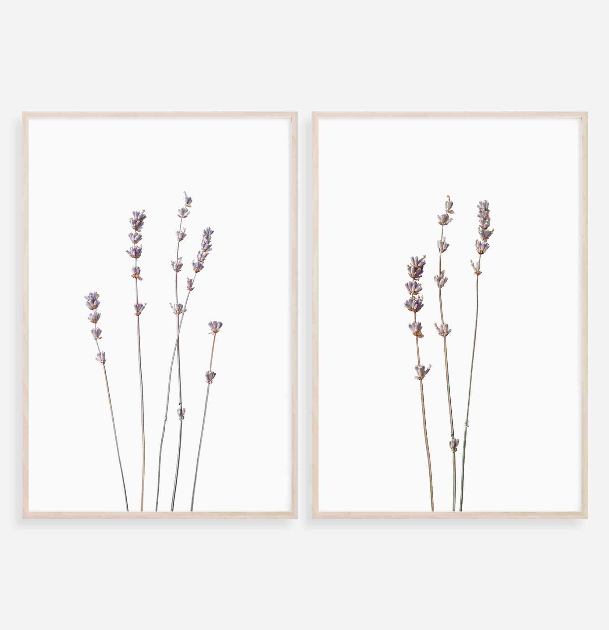 Lavender Print Lavender Poster Set of 2 Print Botanical | Etsy