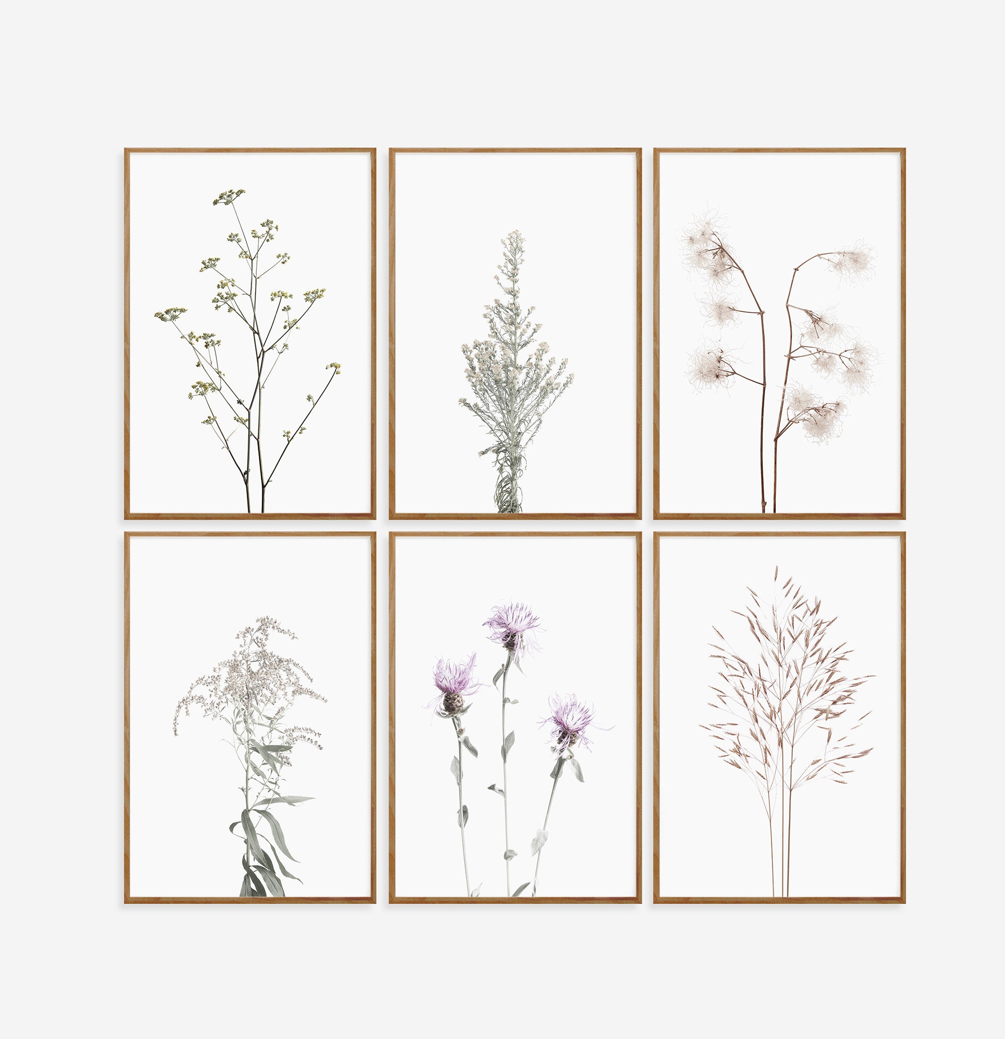 Wildflowers Print Botanical Print Set of 6 Prints Flower | Etsy