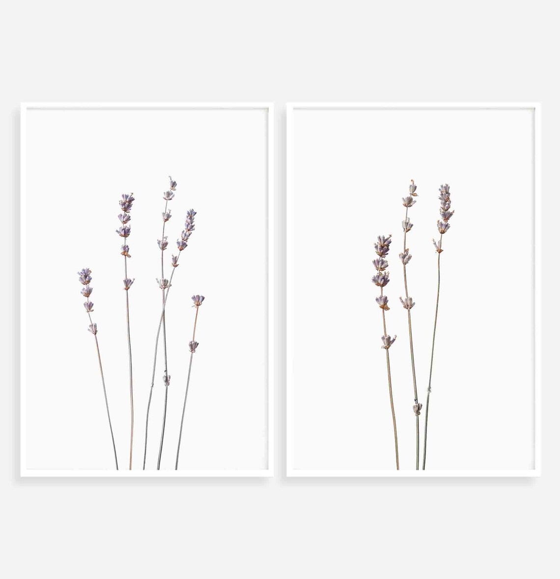 Lavender Print Lavender Poster Set of 2 Print Botanical - Etsy