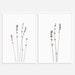 Lavender Print Lavender Poster Set of 2 Print Botanical - Etsy
