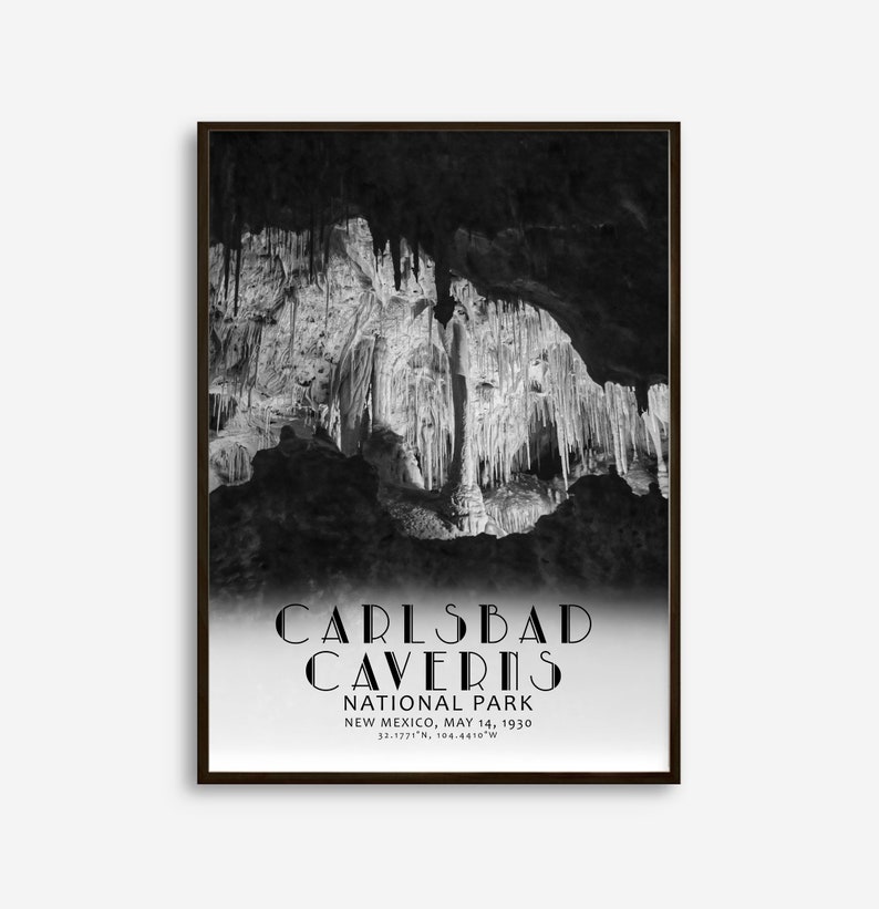 Carlsbad Caverns National Park Poster Travel Poster New - Etsy
