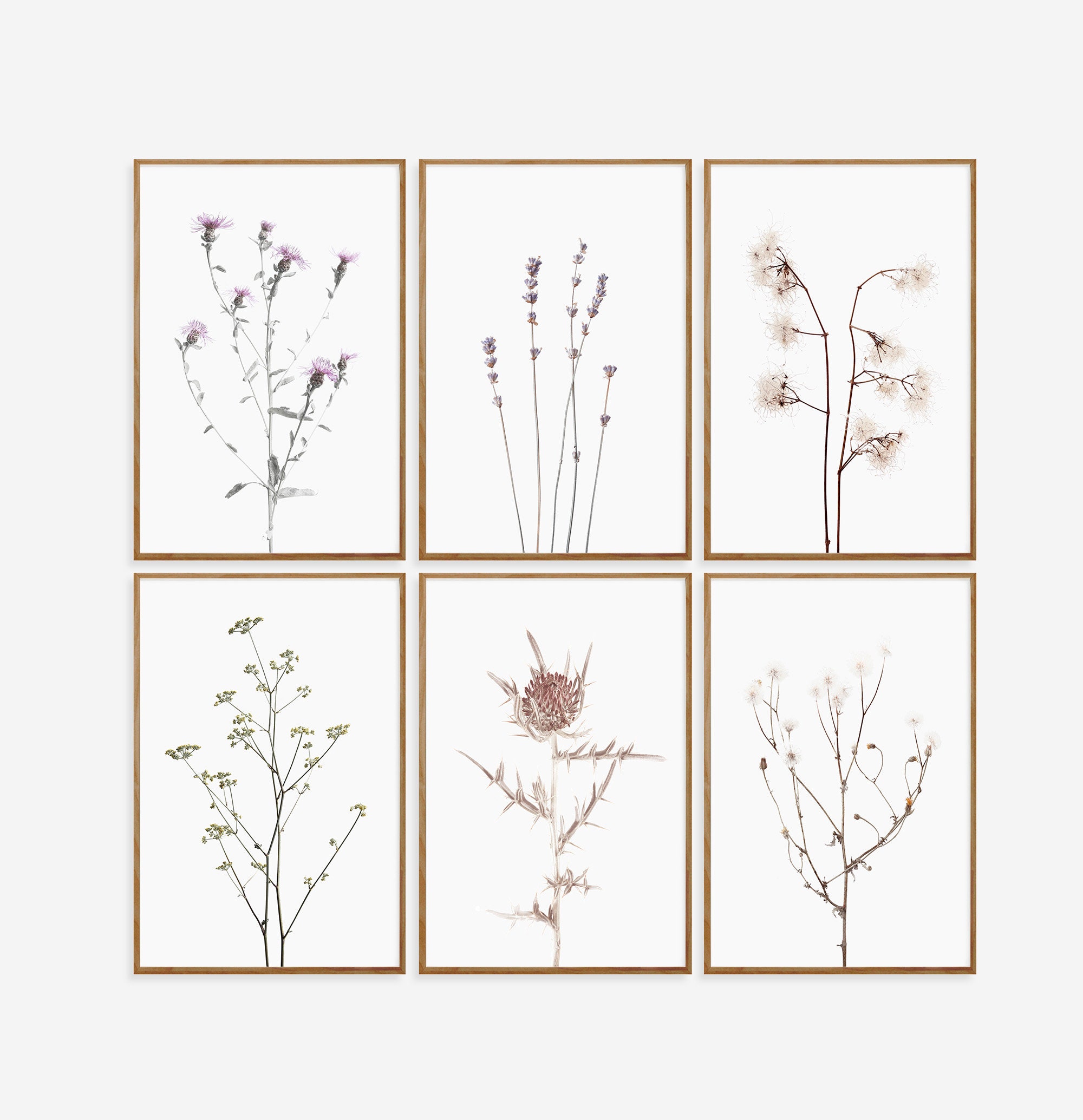 Botanical Prints Plant Print Set of Prints Botanical Wall | Etsy