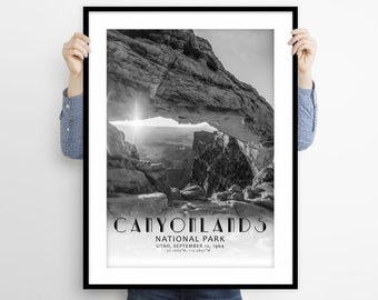 Canyonlands National Park Poster Subpar Parks Poster - Etsy