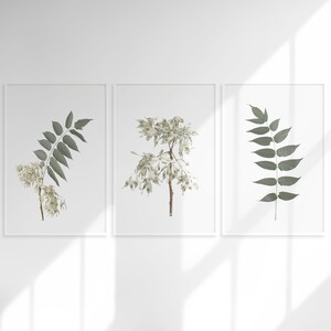 Leaf Printable Art, Set of Prints, Flower Wall Art, Botanical Art ...