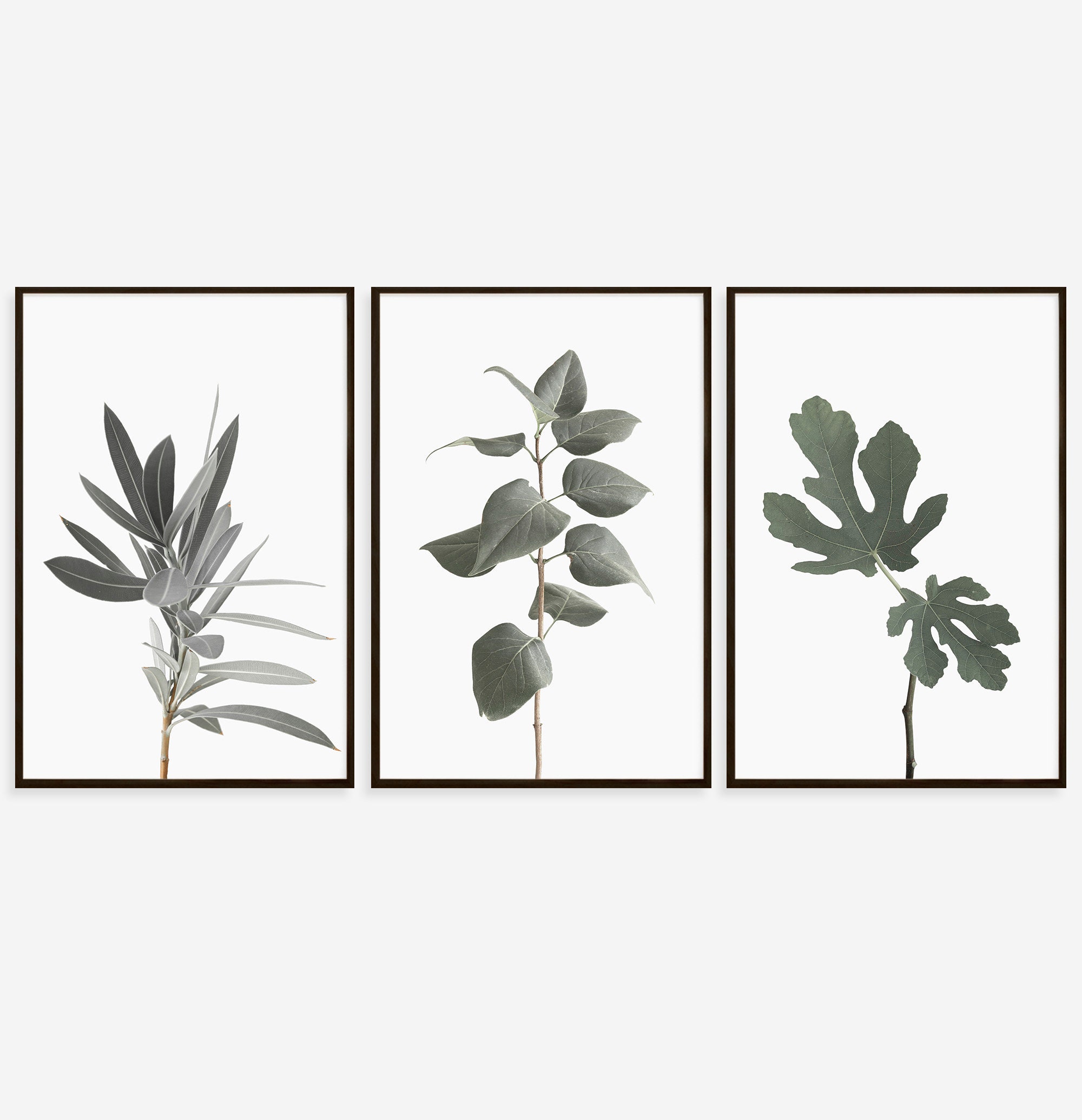 Green Leaf Print Leaf Wall Art Set of 3 Prints Fig Leaf | Etsy