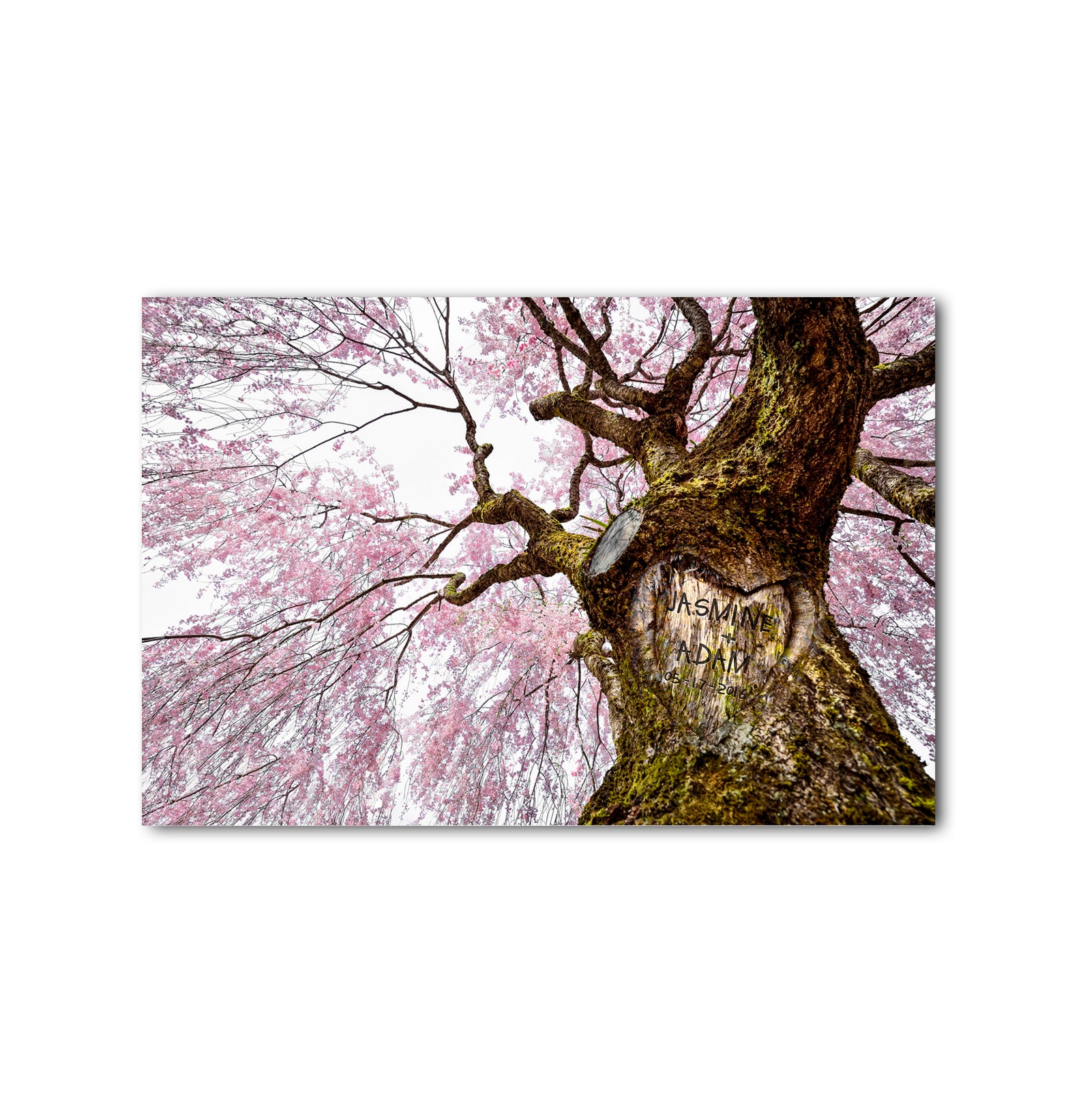 Carved Heart Tree Personalized Photo Print: Couples Gift (digital File ...