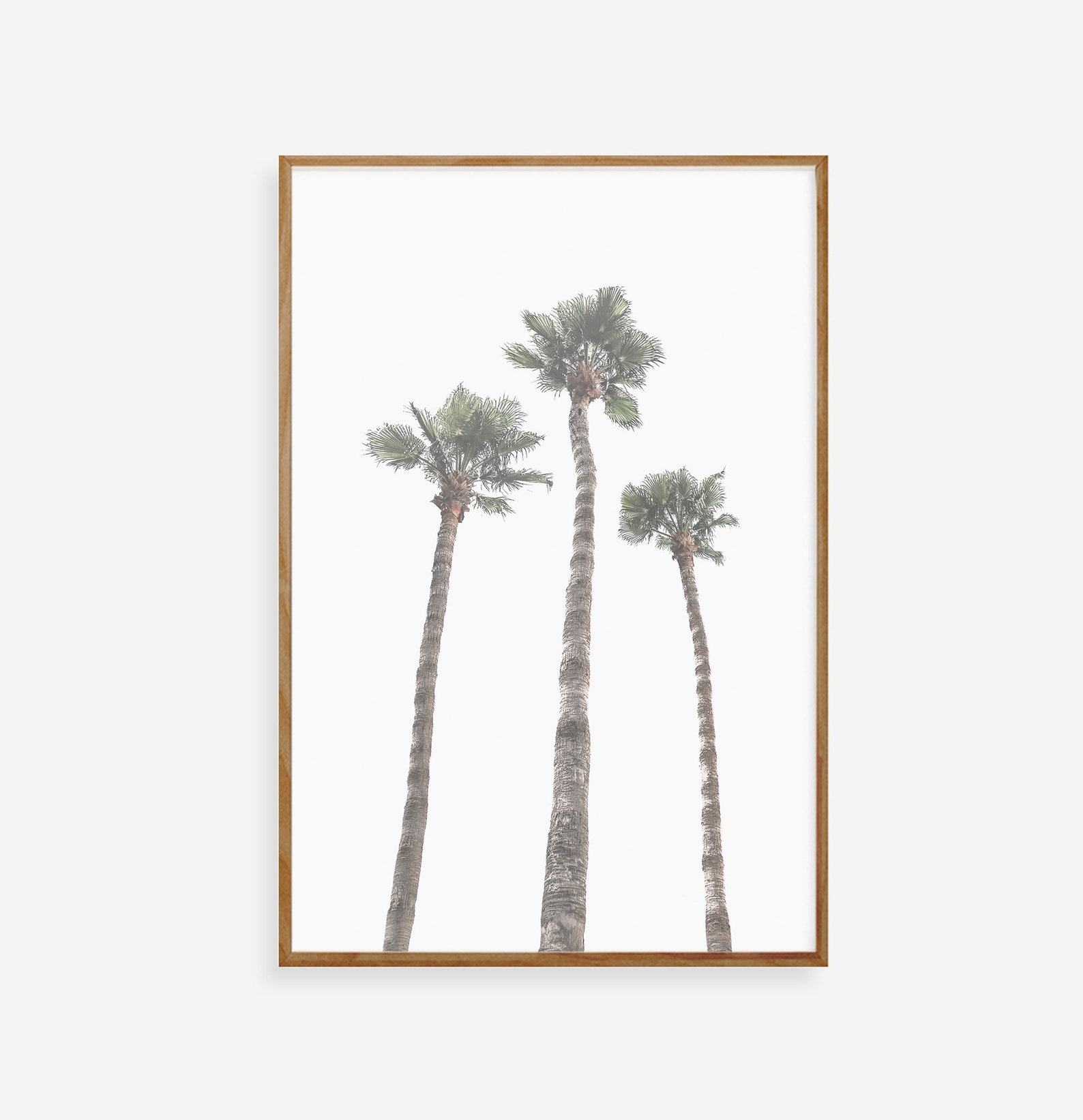 Palm Tree Palm Trees Palm Tree Print Tropical Print | Etsy