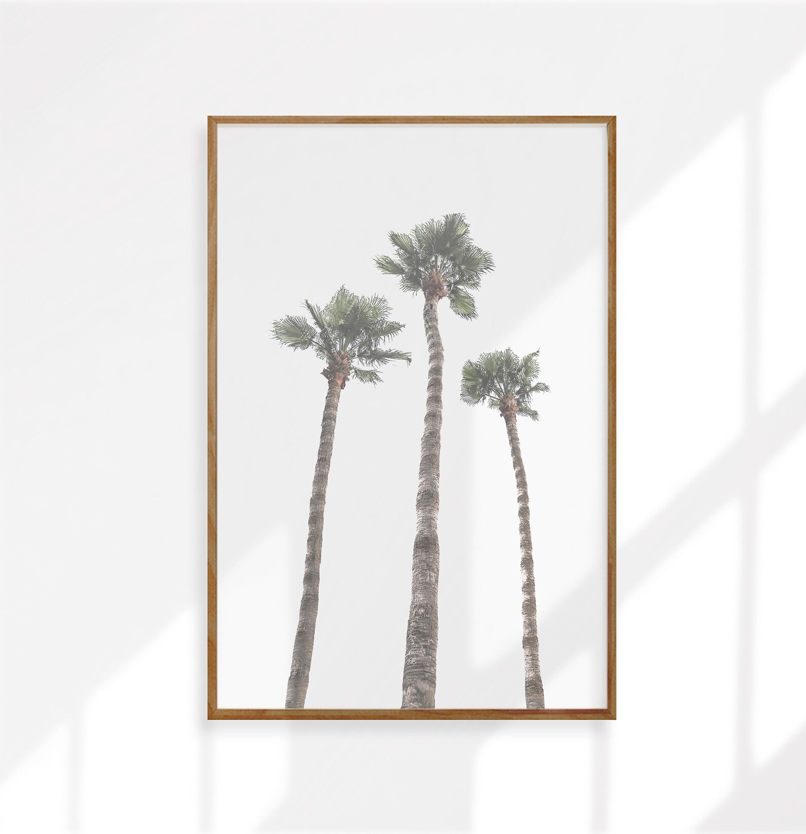 Palm Tree Palm Trees Palm Tree Print Tropical Print | Etsy