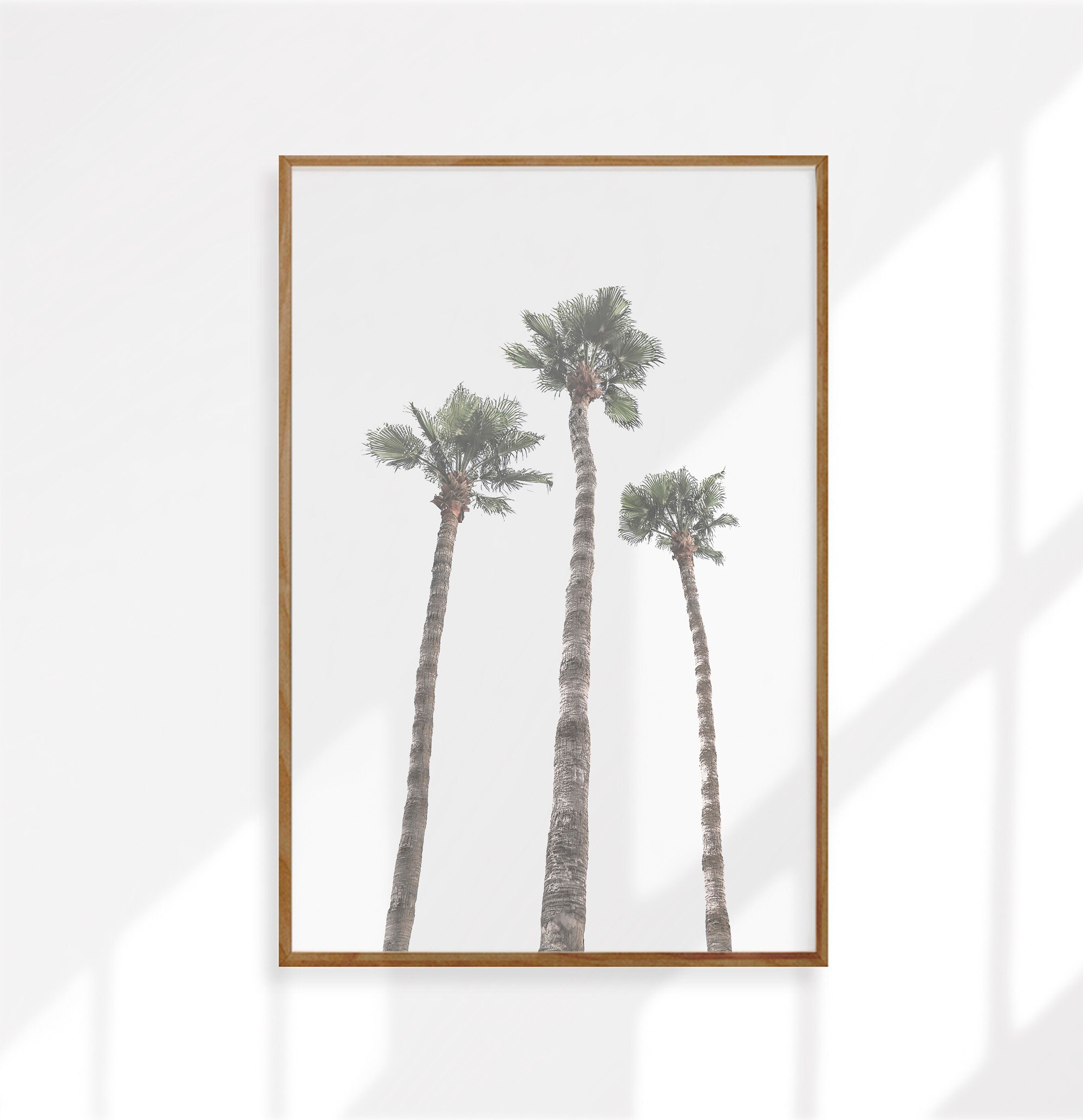 Palm Tree Palm Trees Palm Tree Print Tropical Print | Etsy