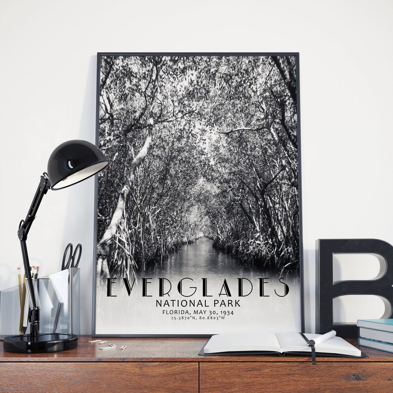 Everglades National Park Poster Florida Travel Poster - Etsy