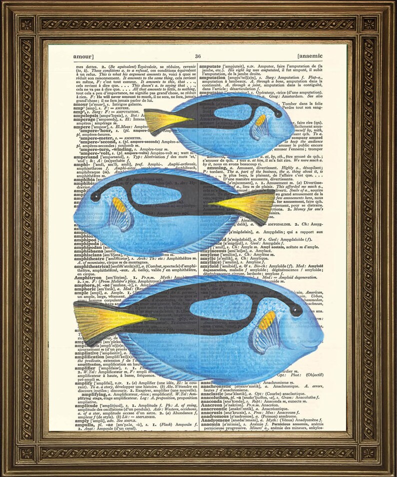 Fish Prints: Tropical Fish Art Printed on Vintage Dictionary - Etsy
