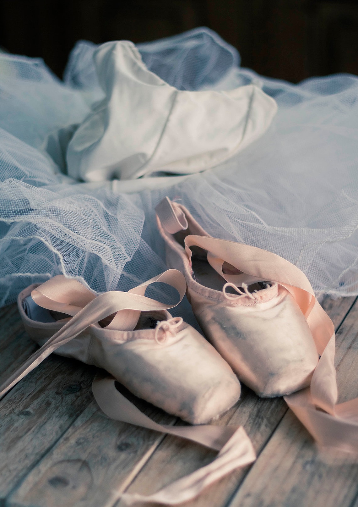 Ballet Prints: Ballerina Shoes Photo Art Posters - Etsy