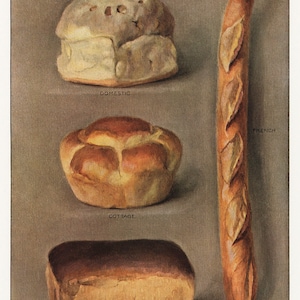 Bread Poster: Loaves Identification Art Print From Vintage Grocer's ...