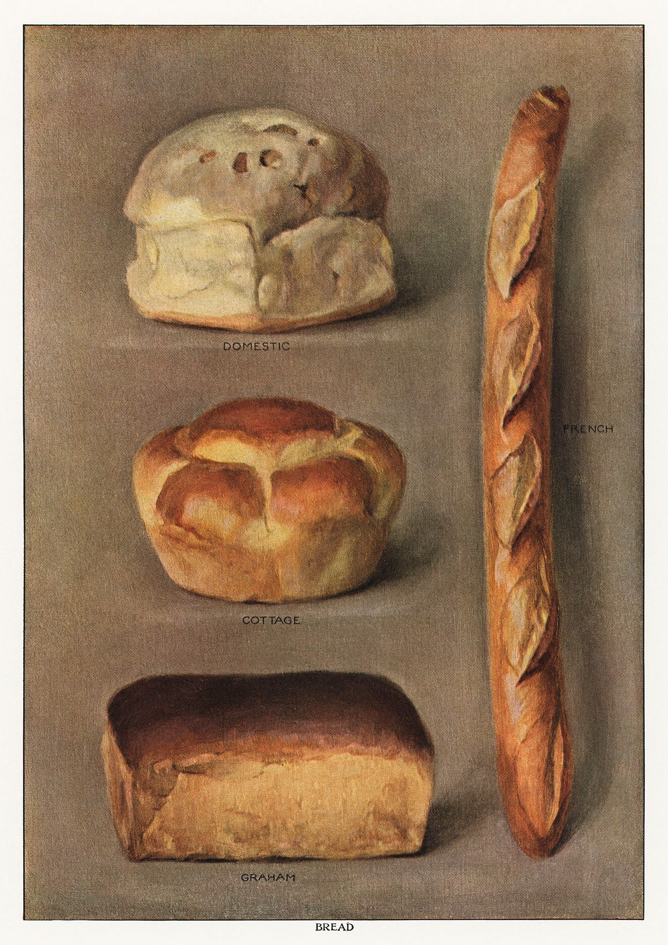 Bread Poster: Loaves Identification Art Print From Vintage Grocer's ...