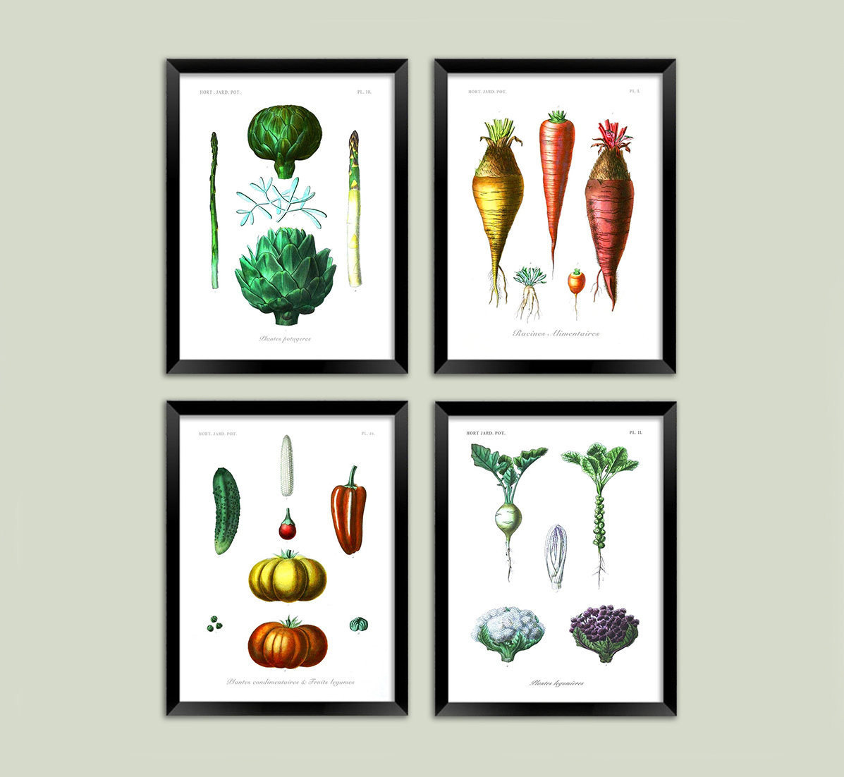 Vegetable Prints: Vintage Kitchen Food Art Illustrations | Etsy