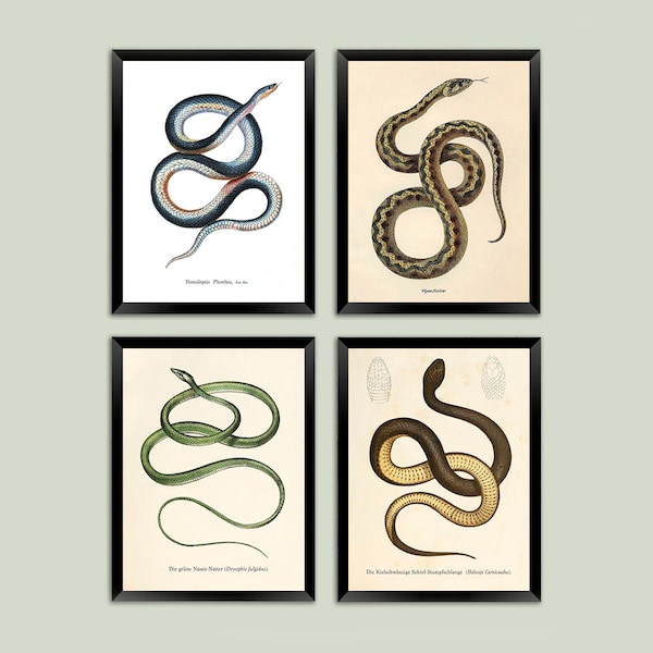 Snake Art Print - Etsy