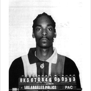 Celebrity Mugshot Prints: Famous Felon Photos - Etsy
