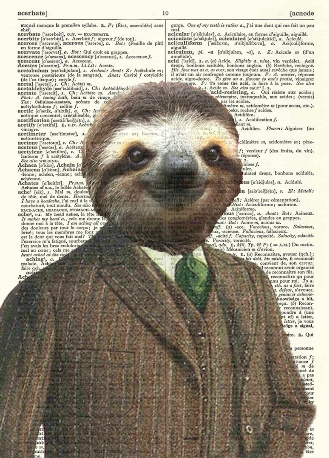 Animal Art Prints: Fun Creatures Printed on Vintage Dictionary Pages - Etsy