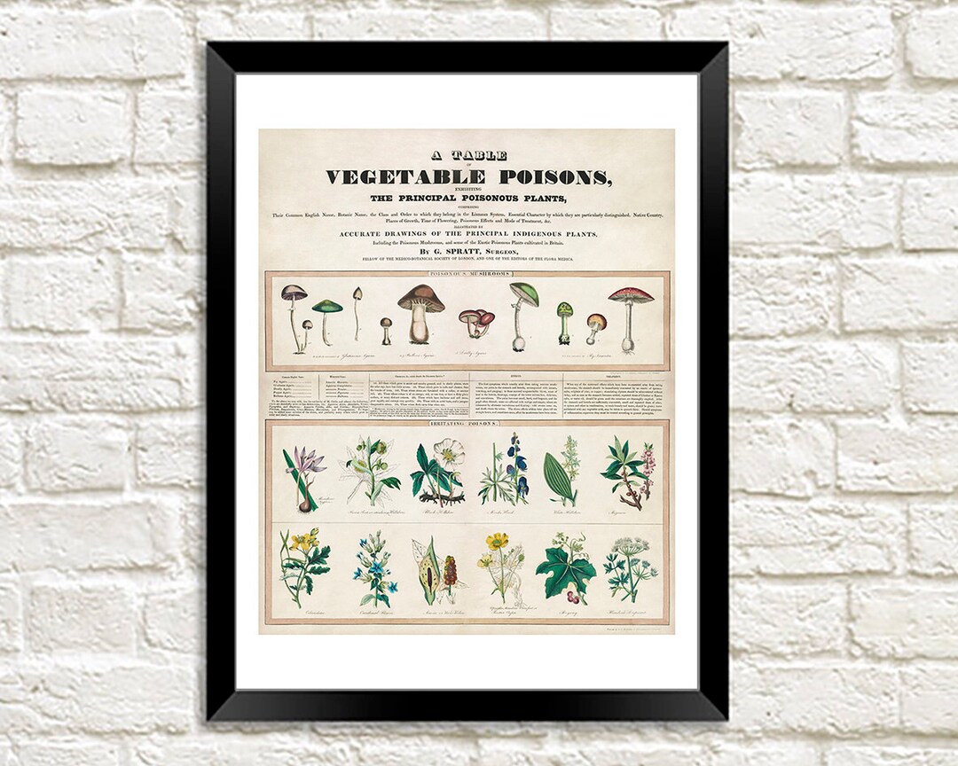 Poisonous Plants Print: Vintage Vegetable Poisons Poster Art ...