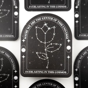 Cosmo Sticker the Rose K-pop Vinyl Sticker Dual Dawn to Dusk Tour ...