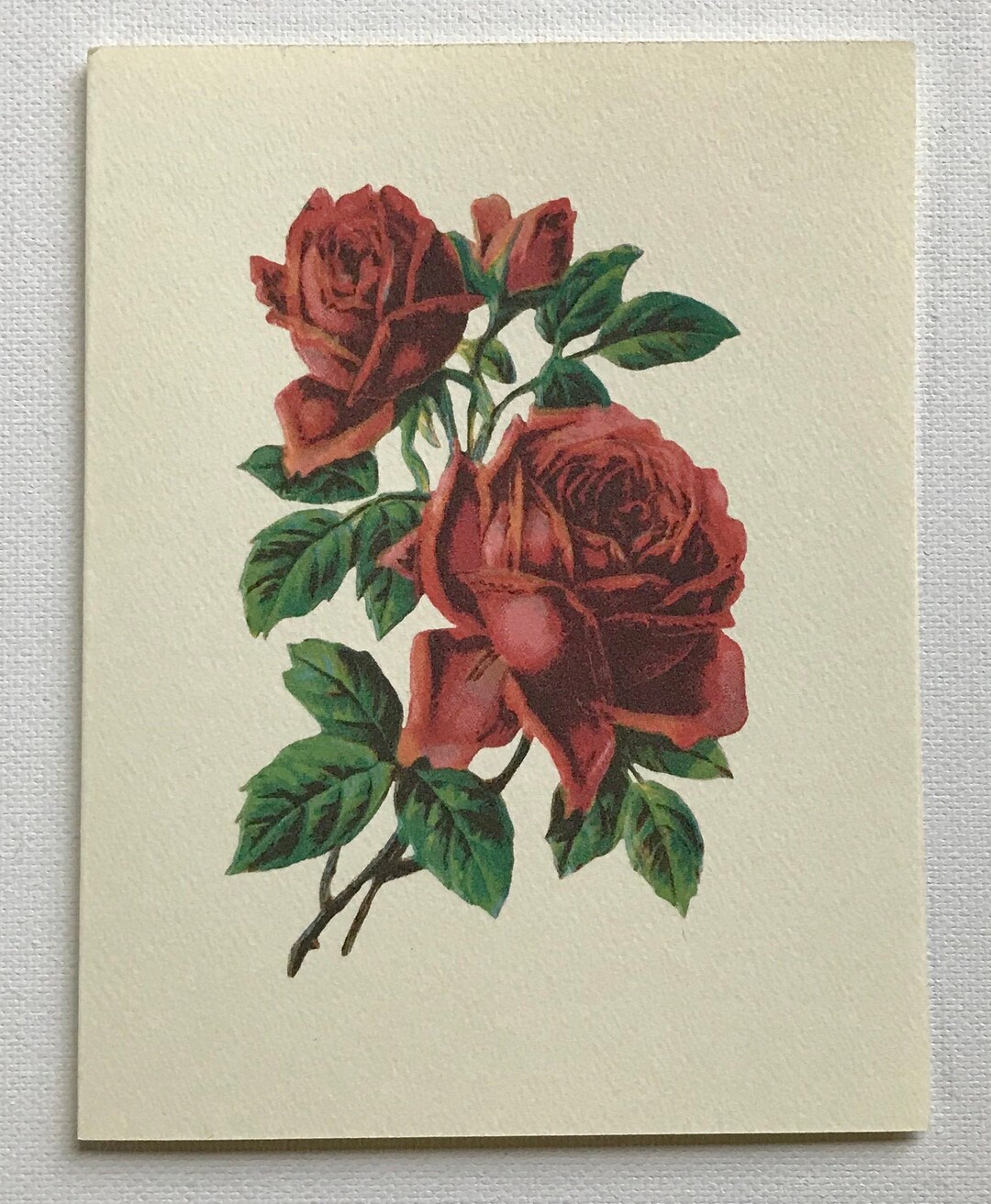 Victorian Red Rose Folded Note Card Set | Greeting Card | Thank You ...